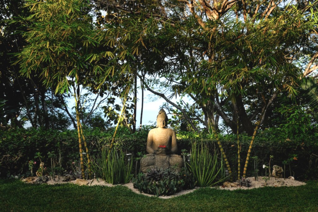 Our Story - Blue Spirit Costa Rica