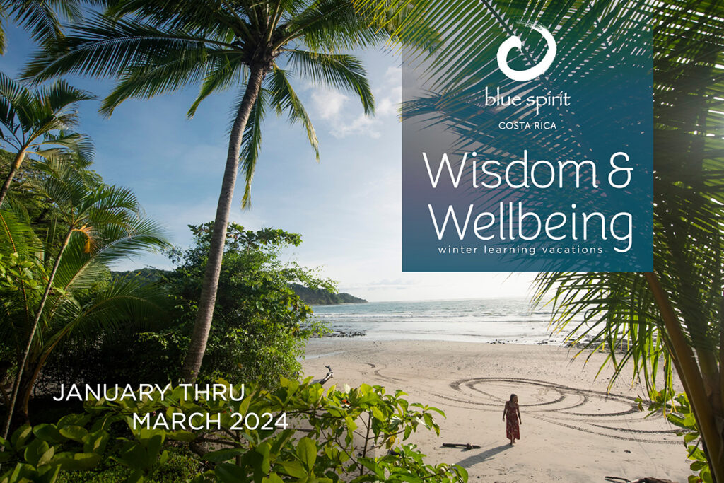 Wisdom & Wellbeing Week 5 Multi-Faculty - Blue Spirit Costa Rica