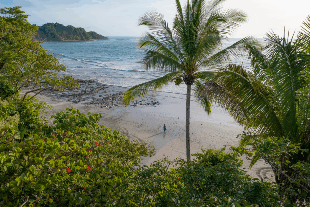 Deborah Dana - Blue Spirit Costa Rica